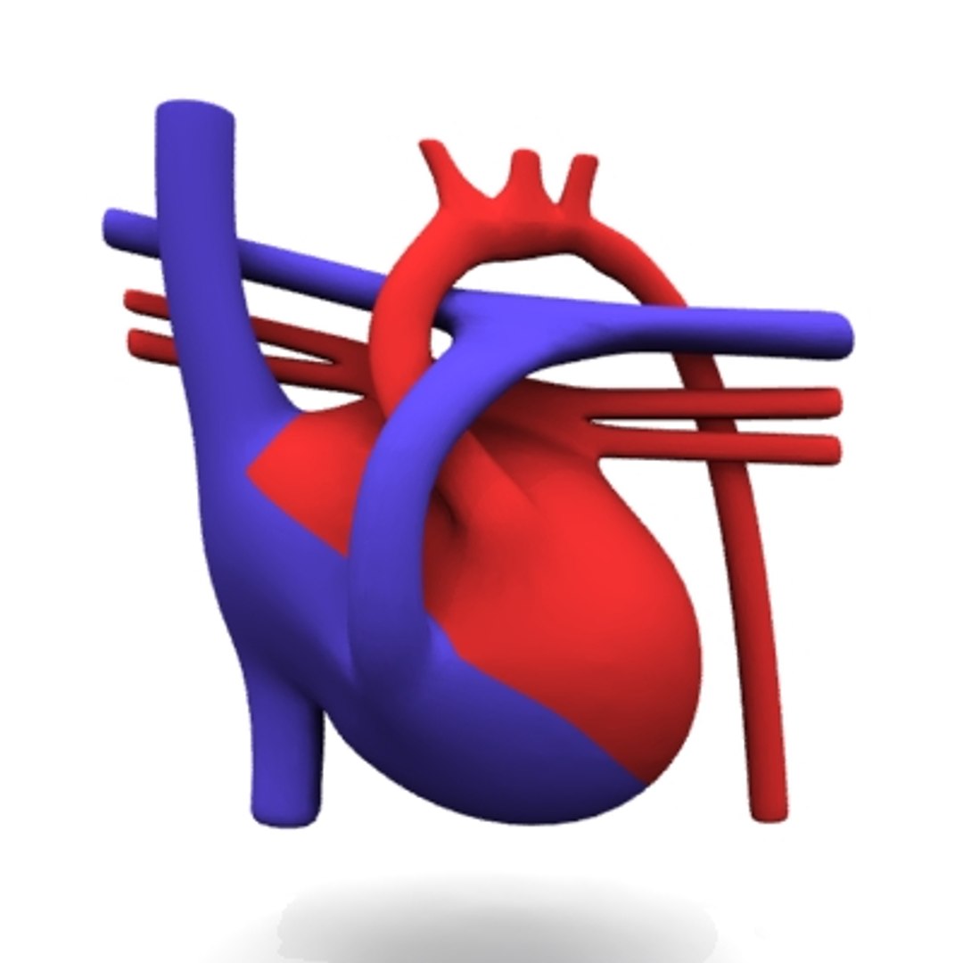 3d Heart Scheme