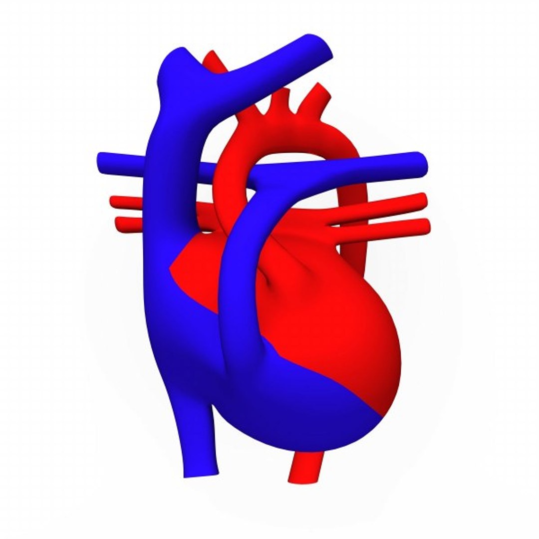 3d Heart Scheme