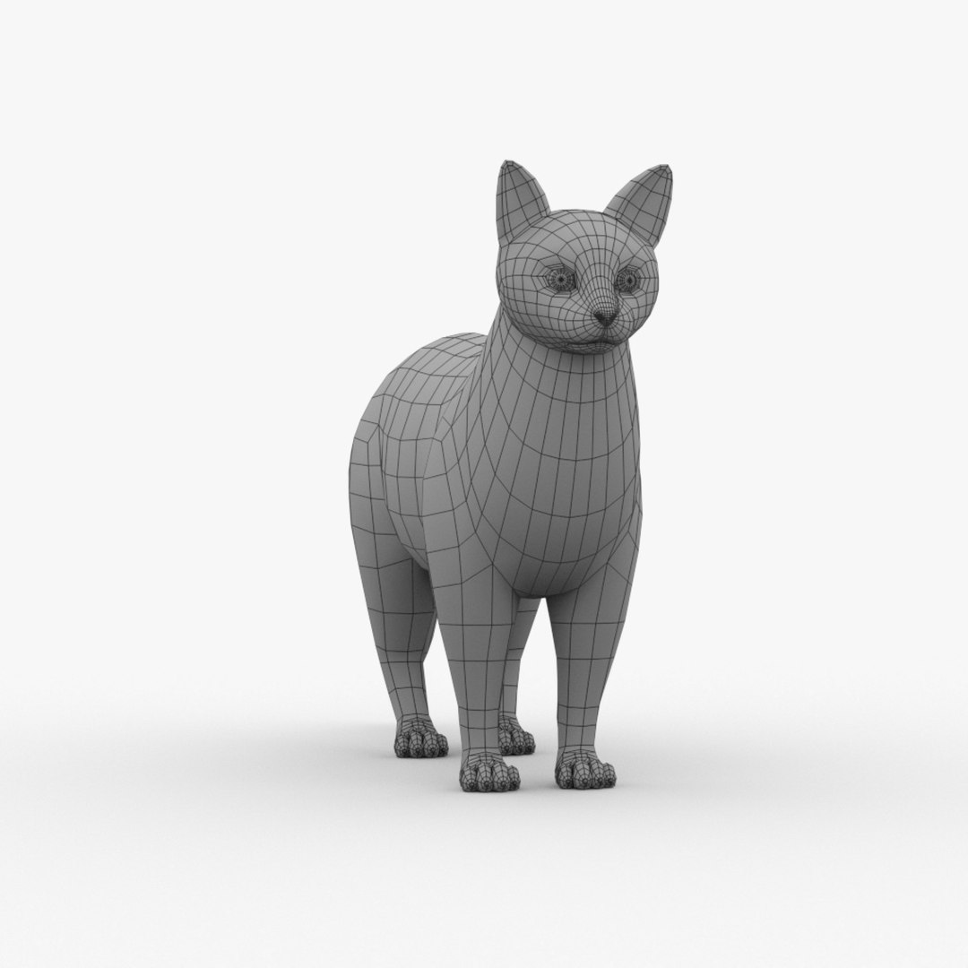 cat basemesh 3D 모델 - TurboSquid 2006880
