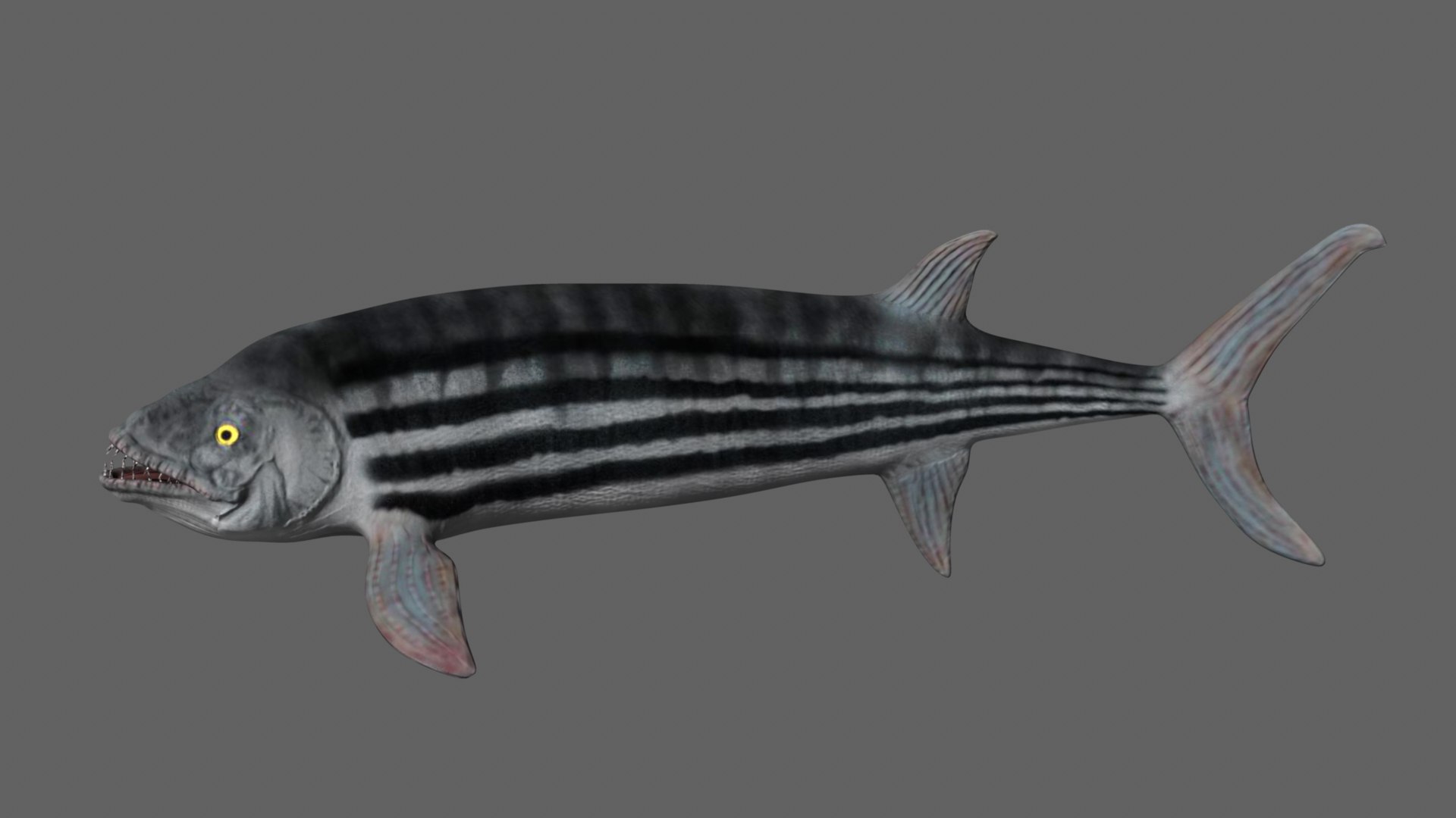 Xiphactinus 3D - TurboSquid 2201347