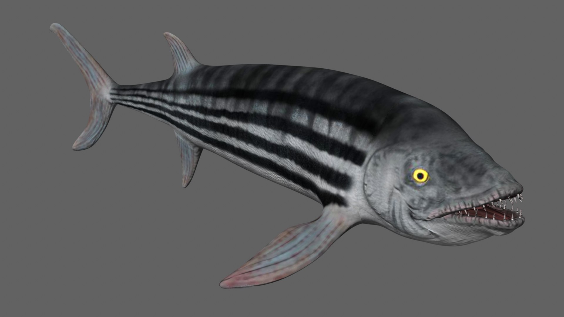 Xiphactinus 3D - TurboSquid 2201347