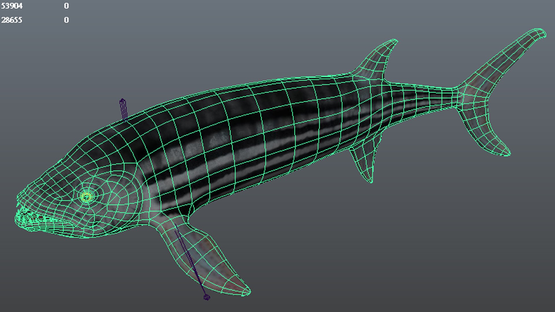 Xiphactinus 3D - TurboSquid 2201347