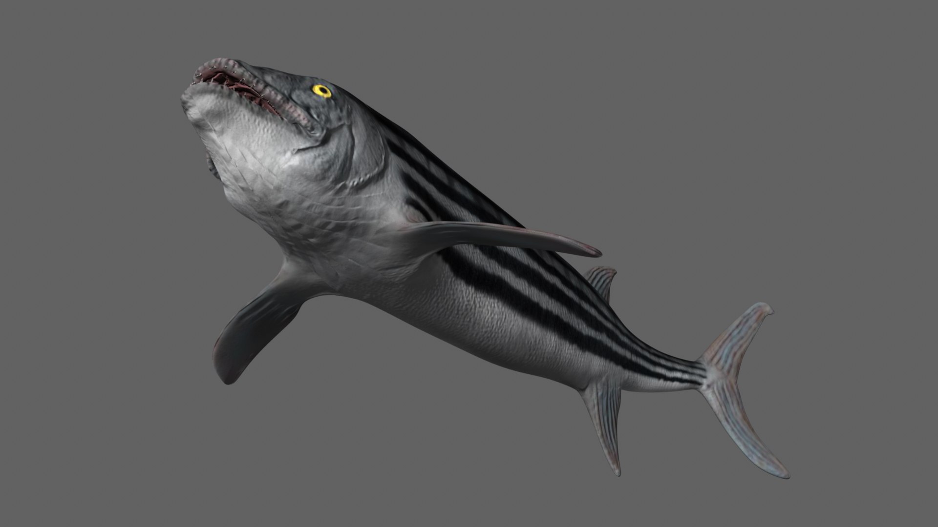 Xiphactinus 3D - TurboSquid 2201347