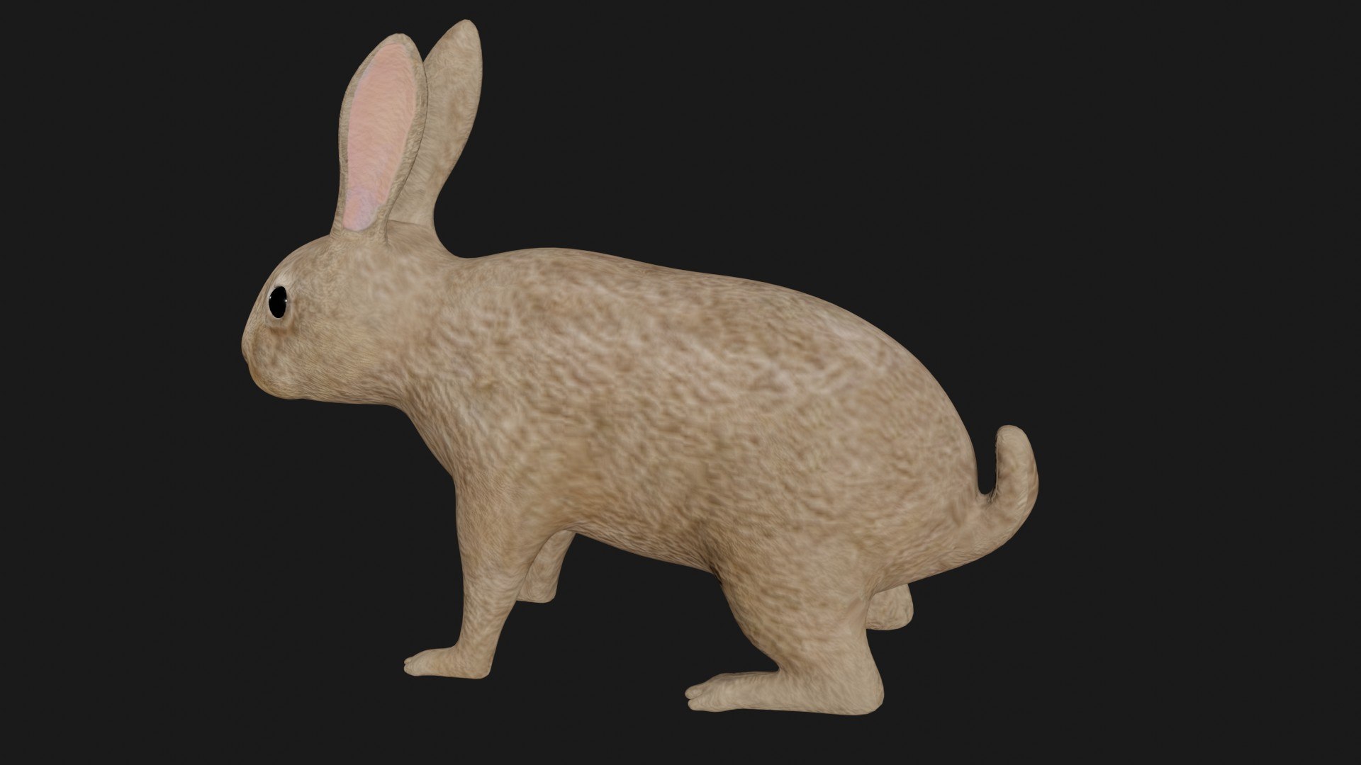 3D Realistic Rigged Hare Model - TurboSquid 1669527