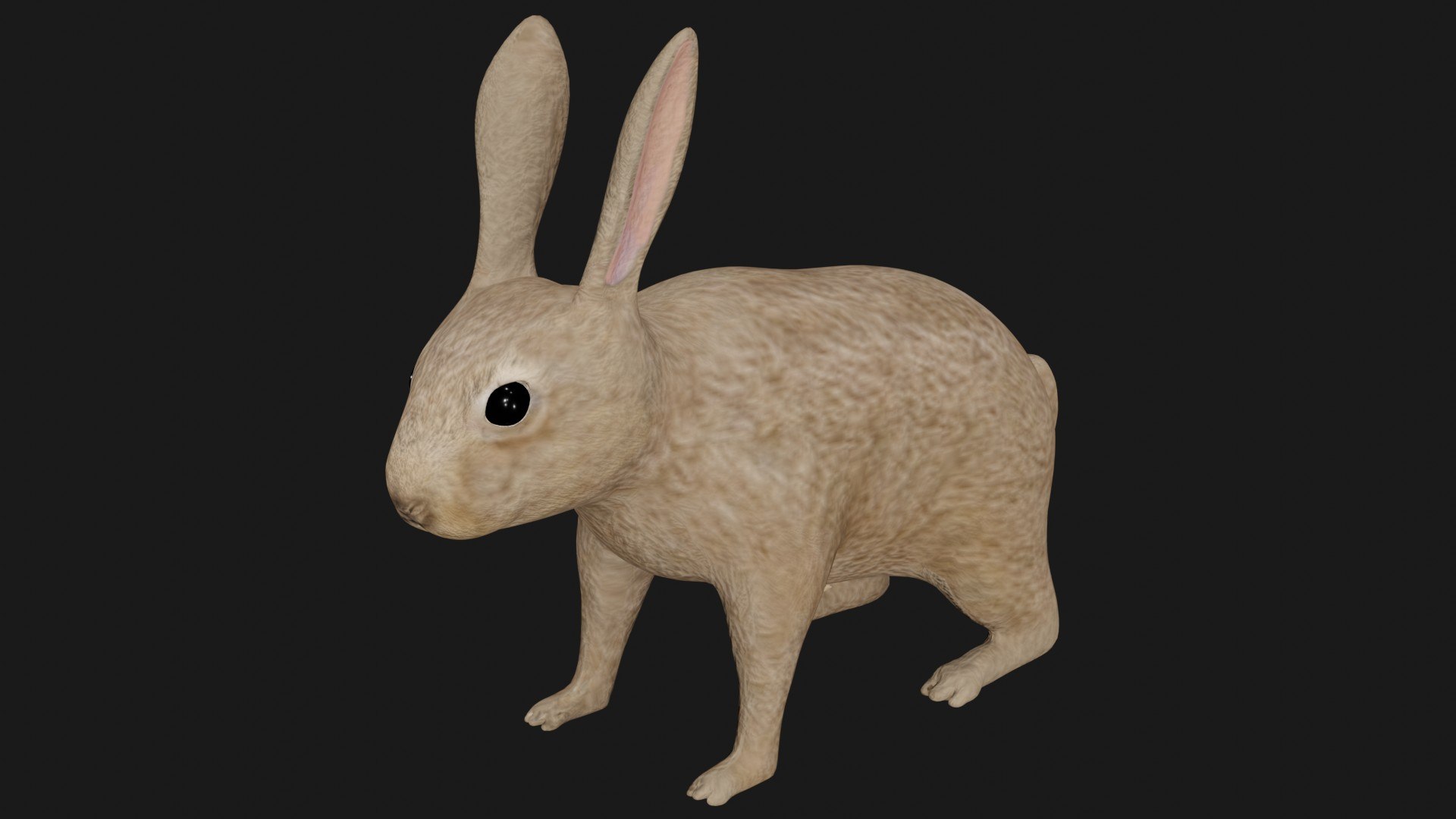 3D Realistic Rigged Hare Model - TurboSquid 1669527