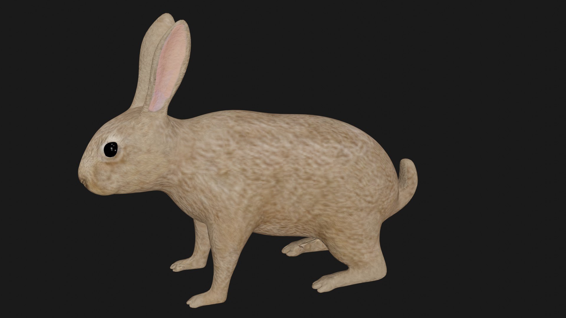 3D Realistic Rigged Hare Model - TurboSquid 1669527