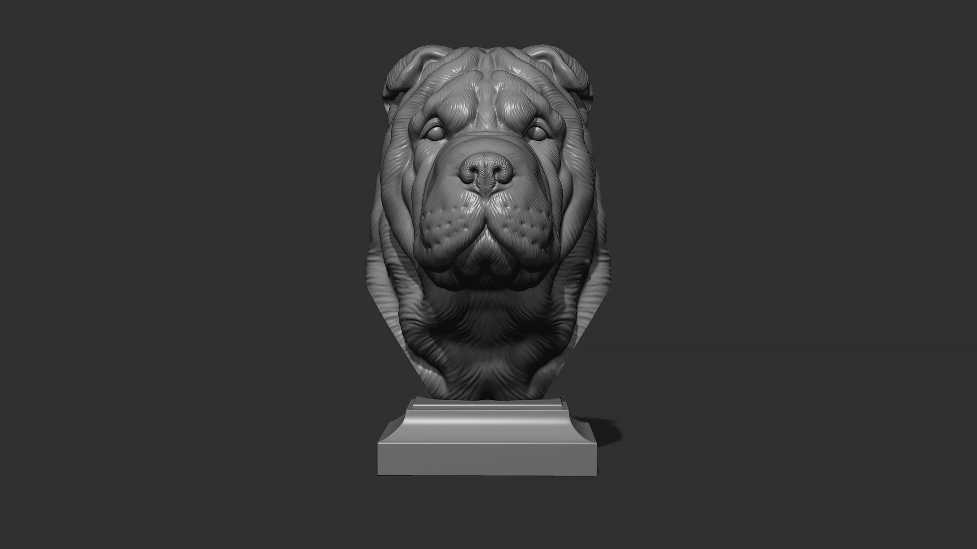 3D Shar Pei Dog Head Model - TurboSquid 2164214