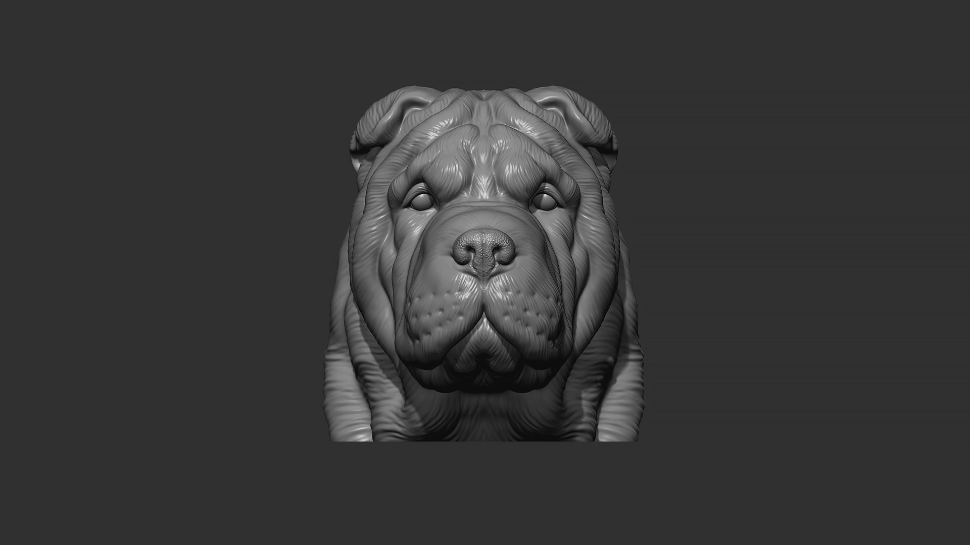 3D Shar Pei Dog Head Model - TurboSquid 2164214