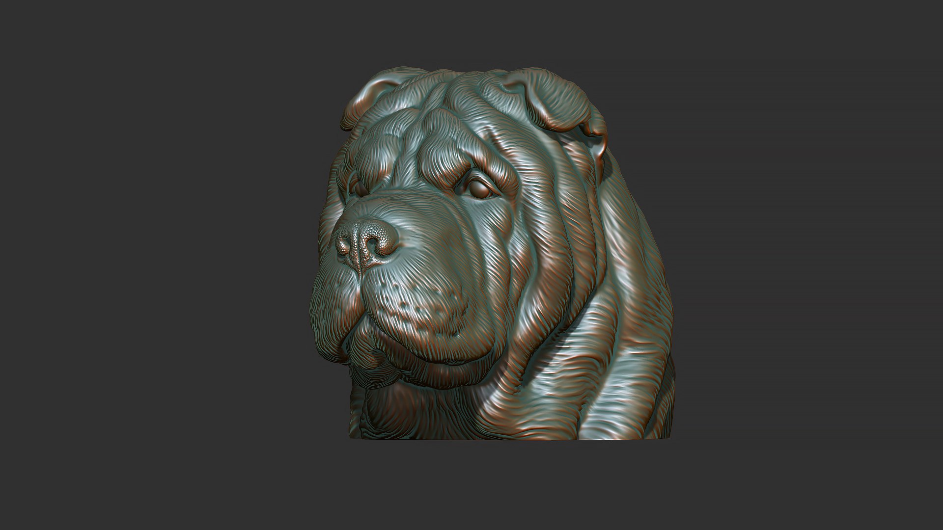 3D Shar Pei Dog Head Model - TurboSquid 2164214
