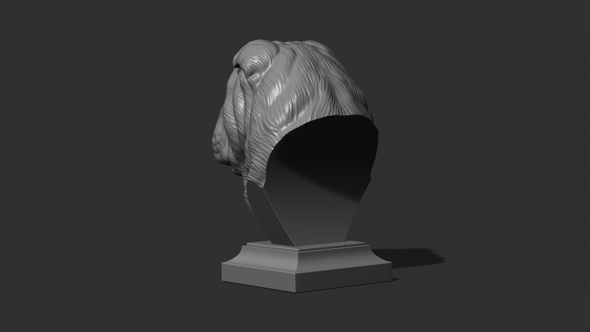 3D Shar Pei Dog Head Model - TurboSquid 2164214