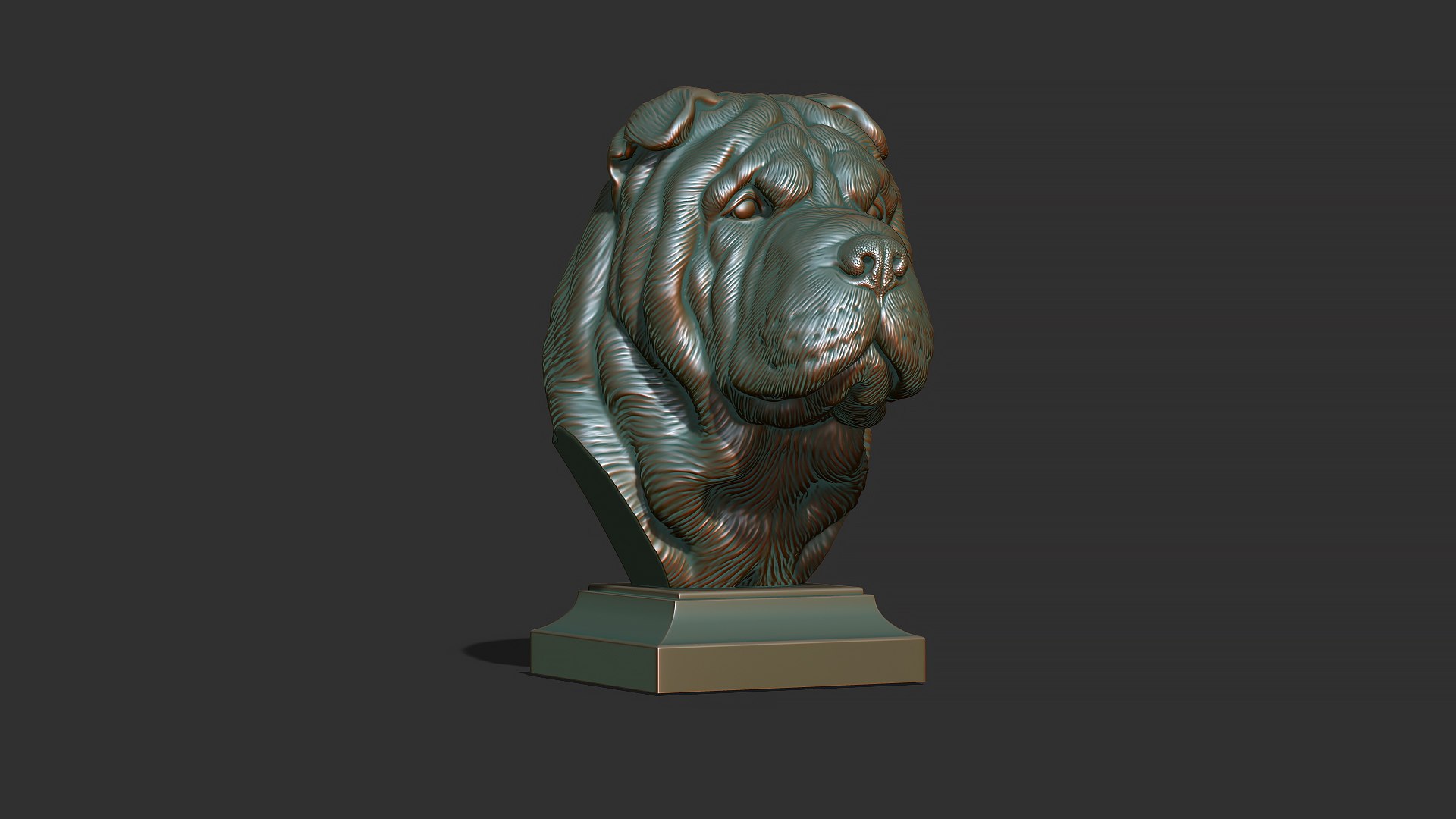 3D Shar Pei Dog Head Model - TurboSquid 2164214