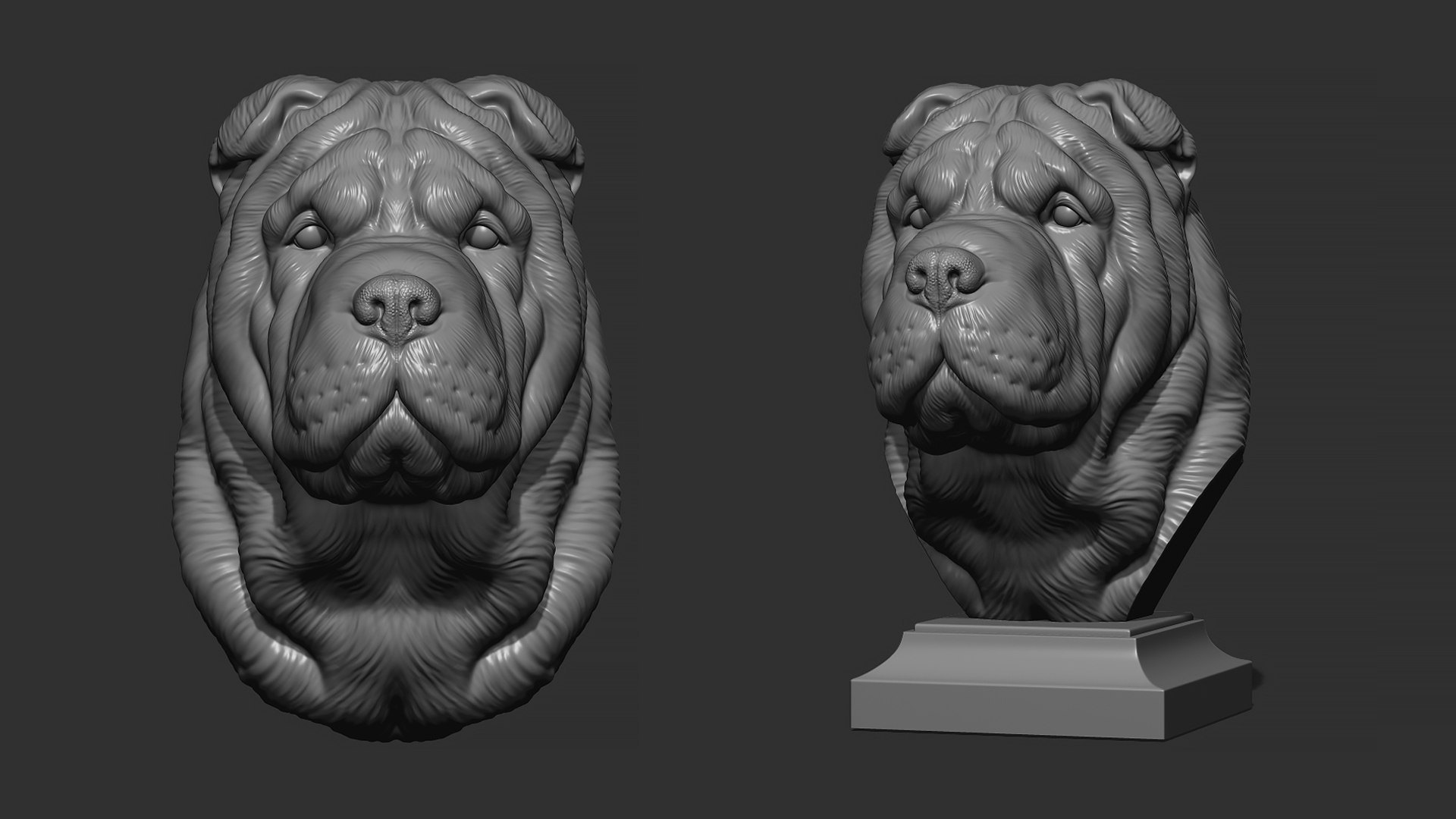 3D Shar Pei dog head model - TurboSquid 2164214