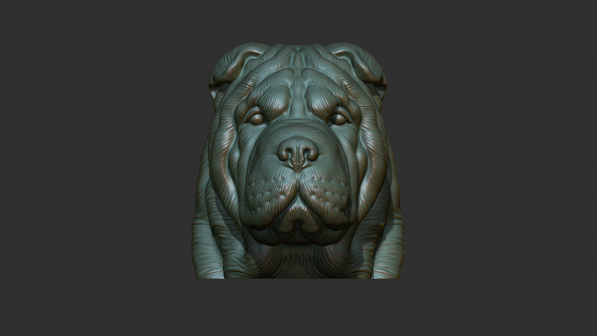 3D Shar Pei Dog Head Model - TurboSquid 2164214
