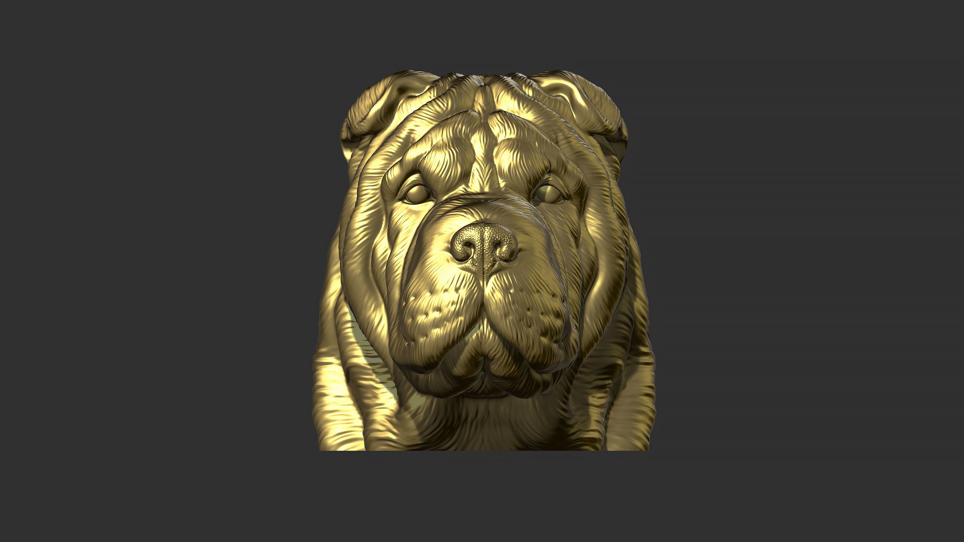 3D Shar Pei Dog Head Model - TurboSquid 2164214
