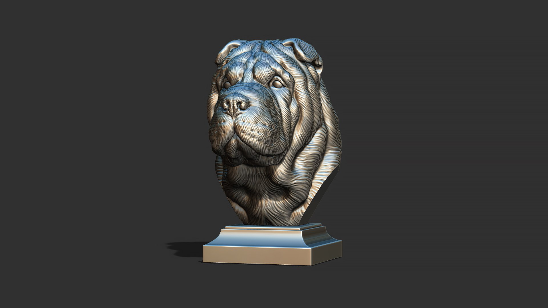 3D Shar Pei Dog Head Model - TurboSquid 2164214