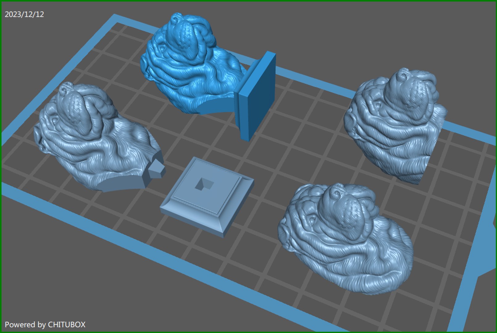 3D Shar Pei Dog Head Model - TurboSquid 2164214