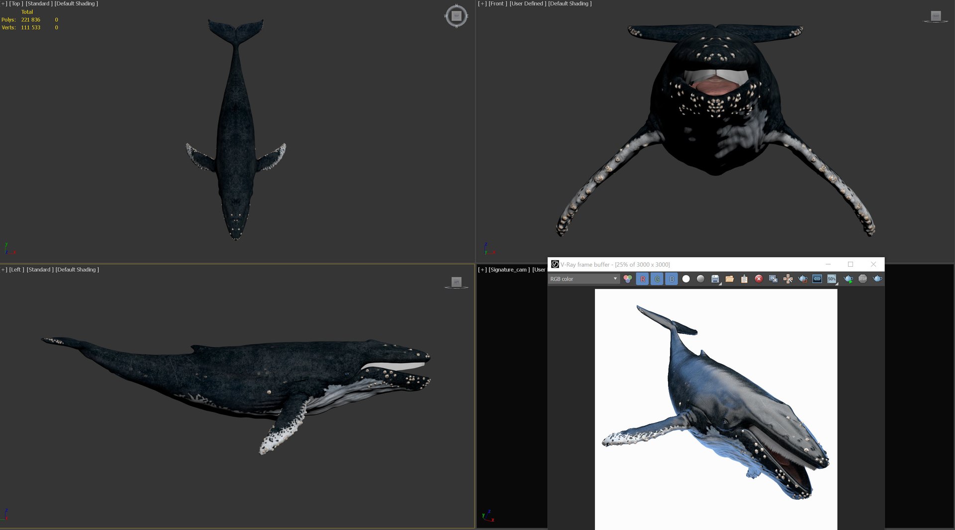 3D Model Humpback Whale - TurboSquid 1953759