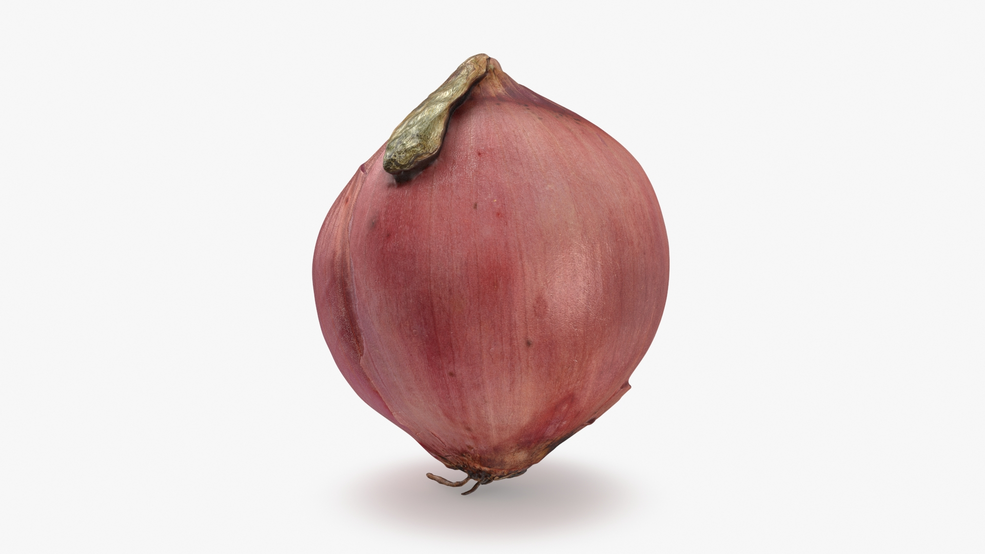 3D Whole Red Onion Collection - TurboSquid 2178848