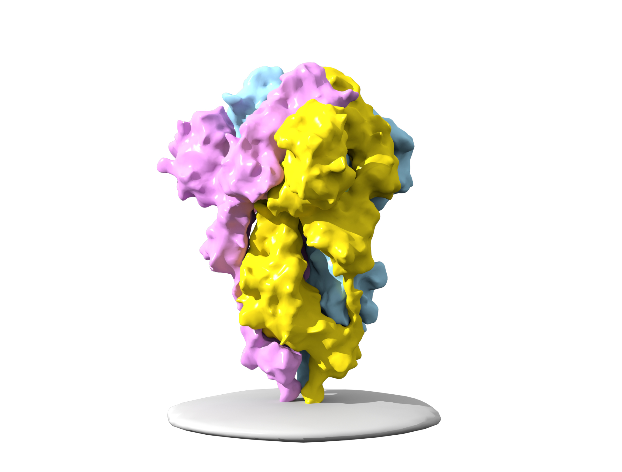 Sars-cov-2 spike protein 3D model - TurboSquid 1536792