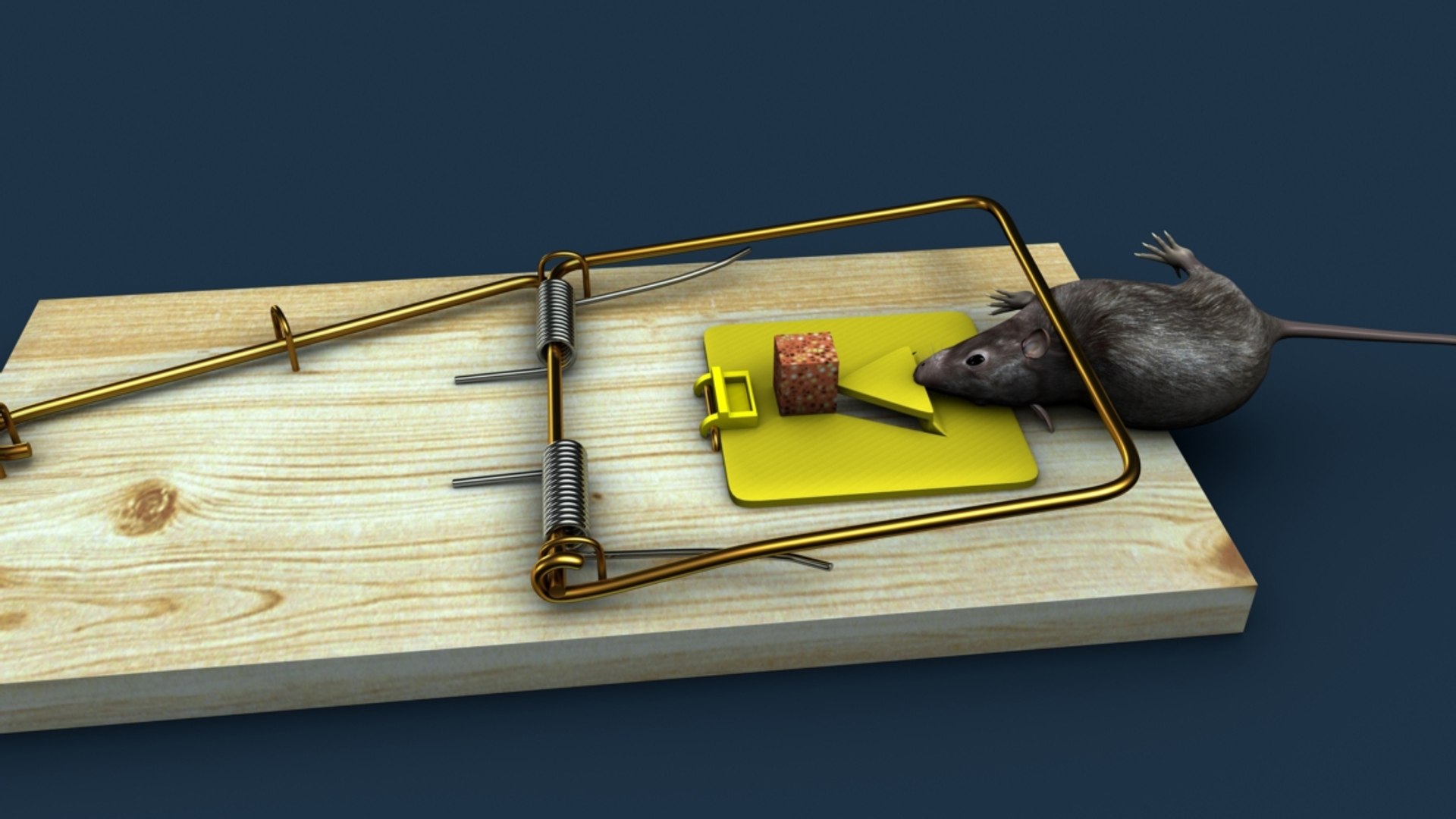 Rat Trap 3D Model - TurboSquid 1263005
