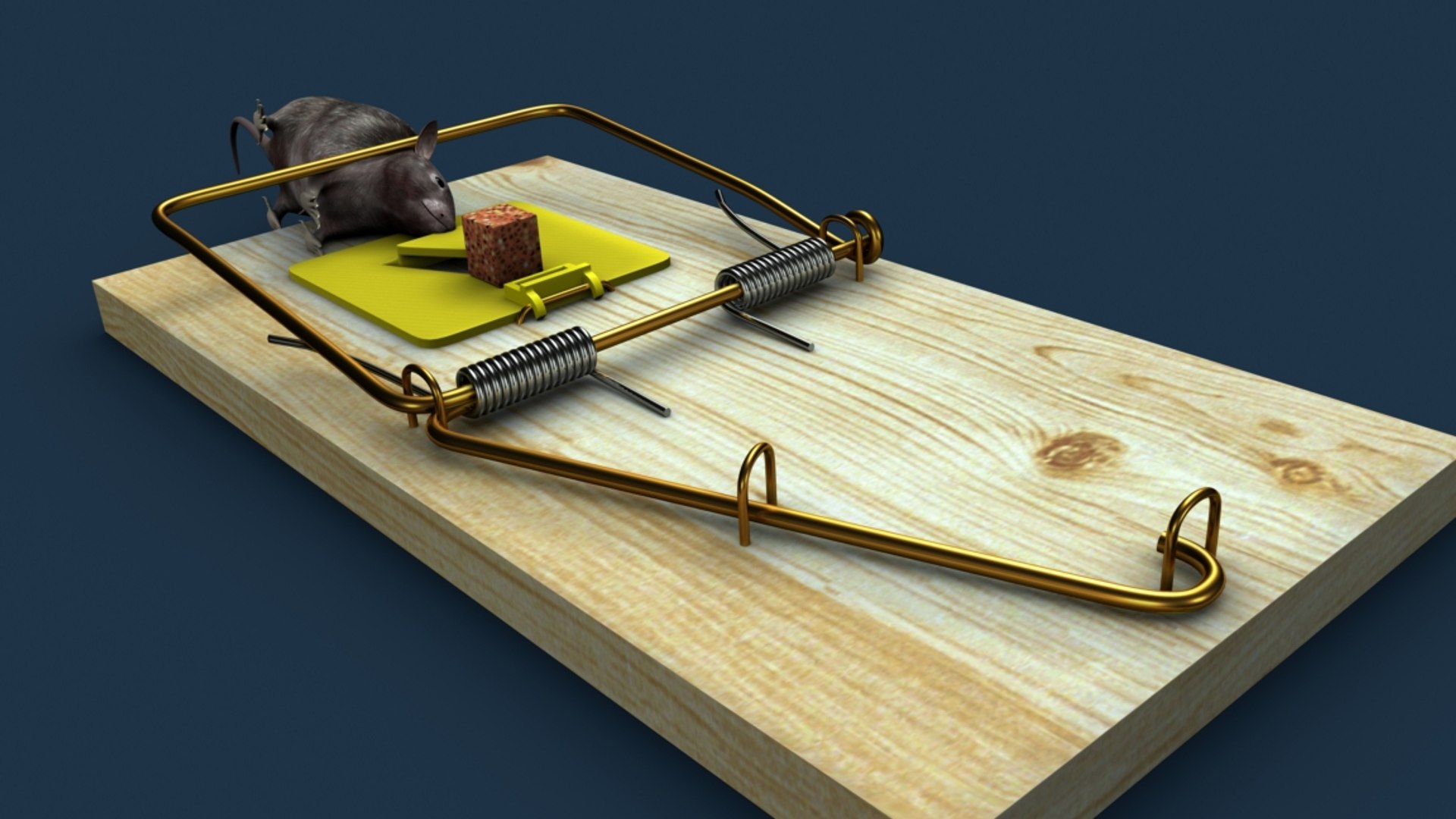 Rat Trap 3D Model - TurboSquid 1263005
