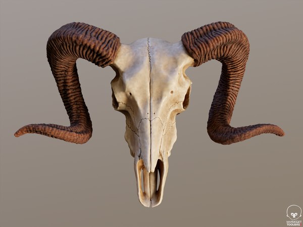 ram skull max