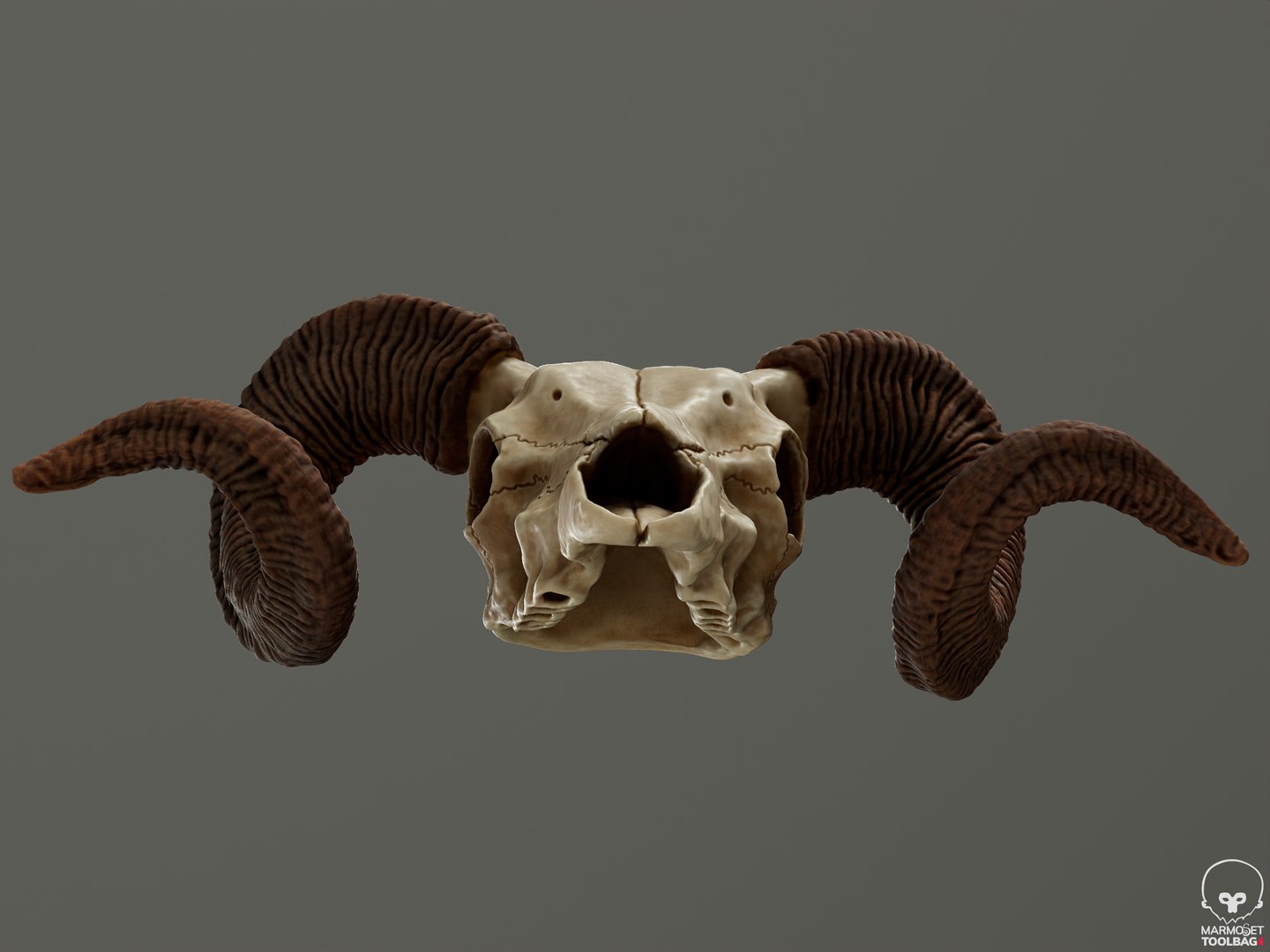 Ram Skull Max