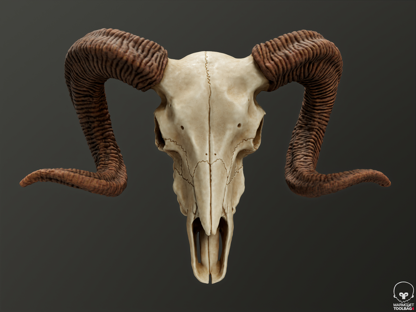 ram skull max