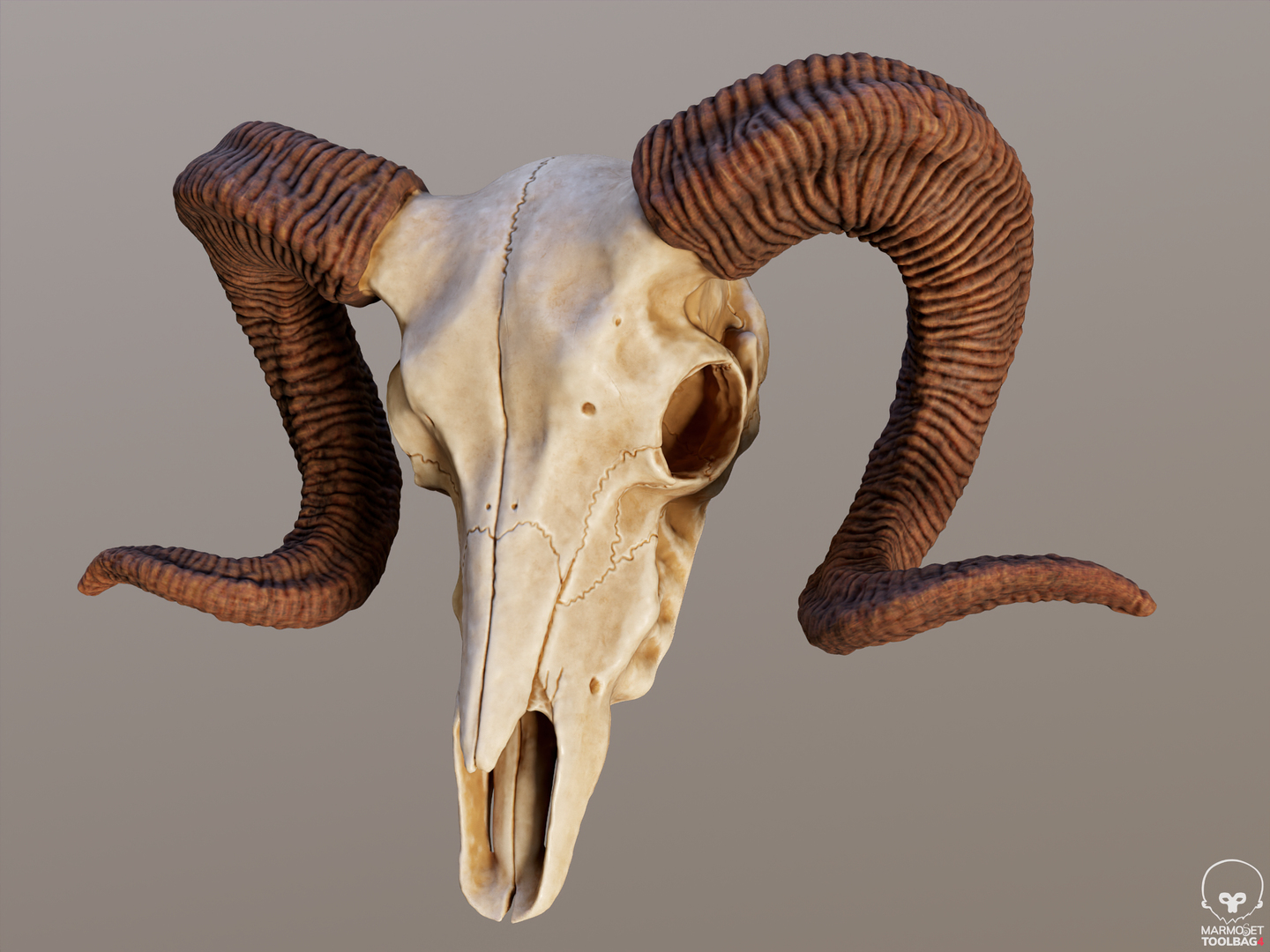 ram skull max