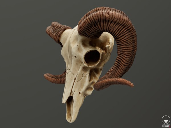 ram skull max