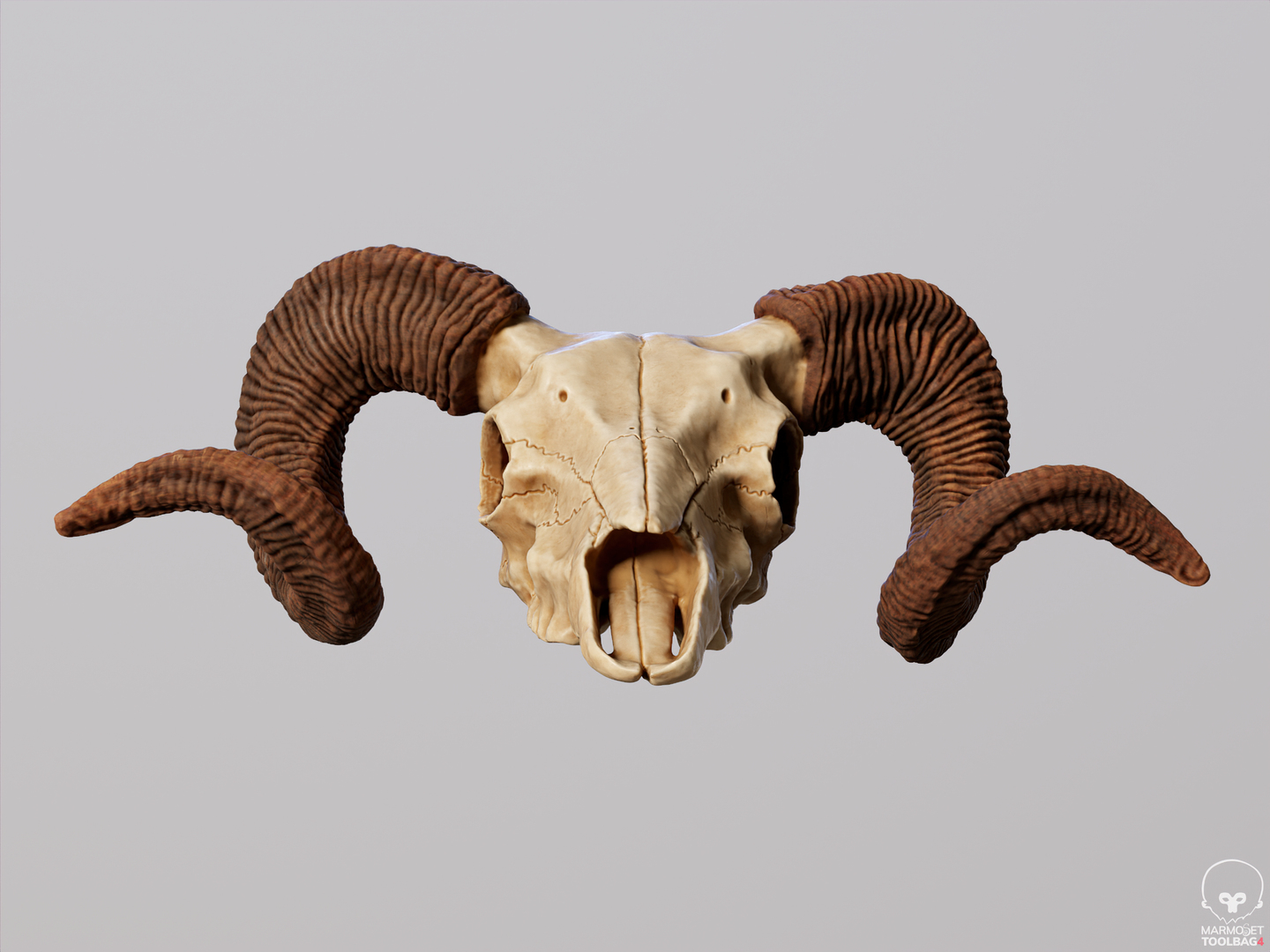 ram skull max