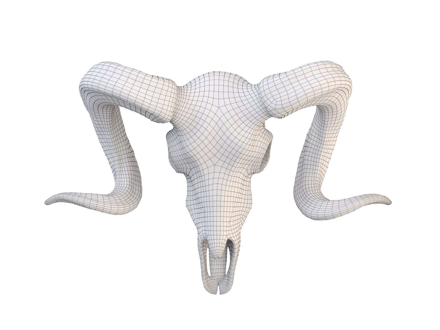 Ram Skull Max