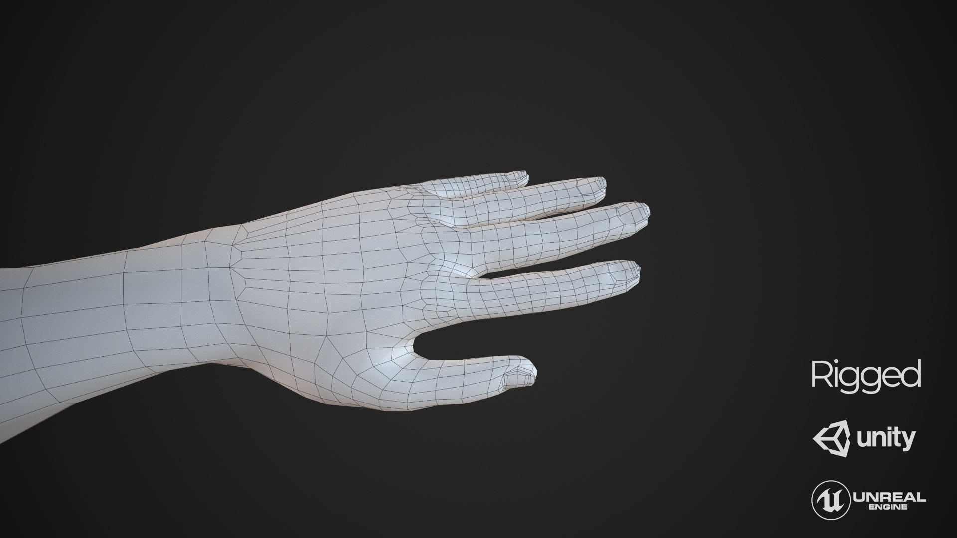 Base Mesh Basemesh Model - TurboSquid 1680951