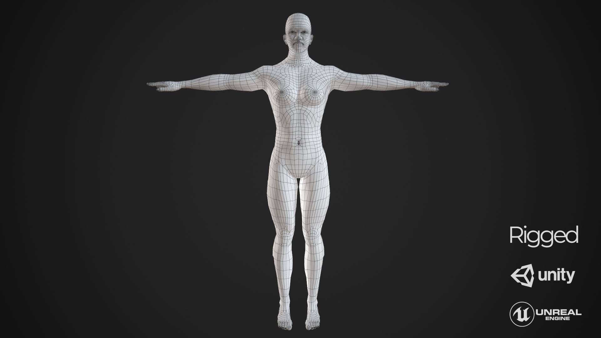 Base Mesh Basemesh Model - TurboSquid 1680951