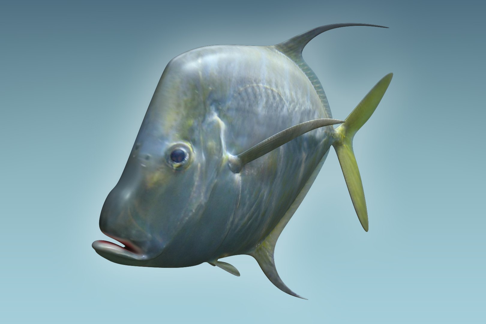 Selene Fish 3D - TurboSquid 1202609