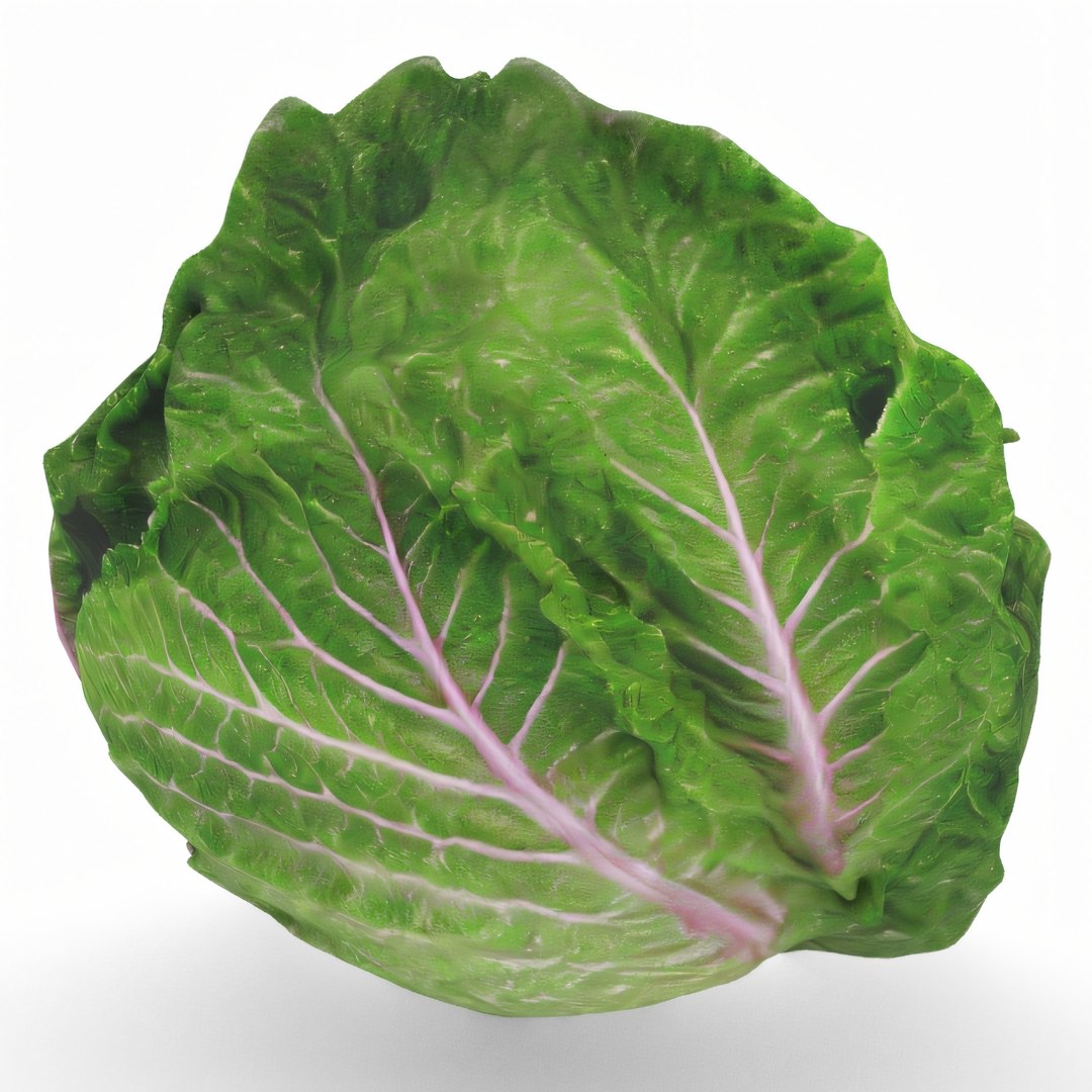 3D Hyper-Realistic Lettuce - TurboSquid 2168289