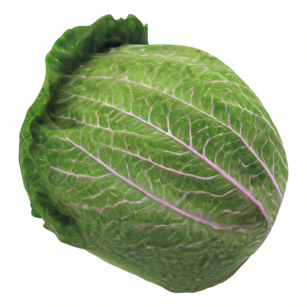 3D Hyper-Realistic Lettuce - TurboSquid 2168289
