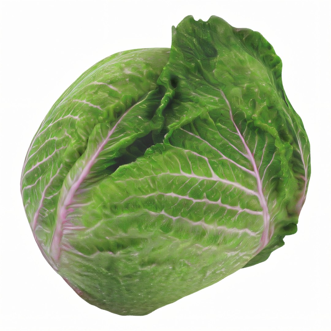 3D Hyper-Realistic Lettuce - TurboSquid 2168289