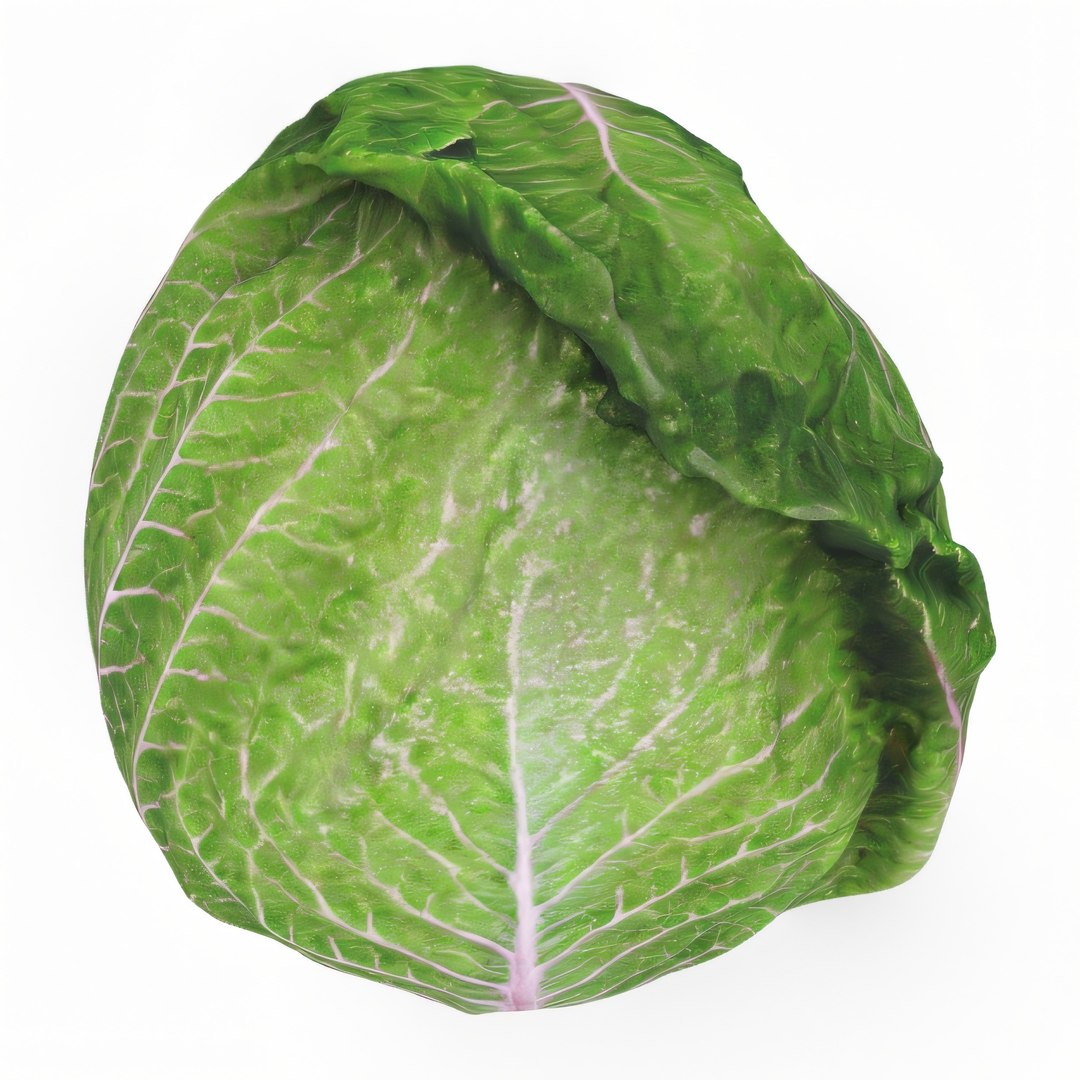 3D Hyper-Realistic Lettuce - TurboSquid 2168289