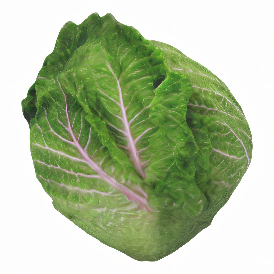 3D Hyper-Realistic Lettuce - TurboSquid 2168289