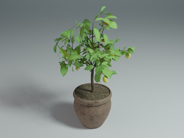 Fruit Tree glTF Models for Download | TurboSquid