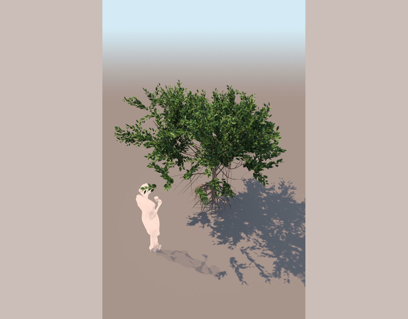 10 Mangrove Rhizophora Mangle Models 3D Model Collection 3D Model ...