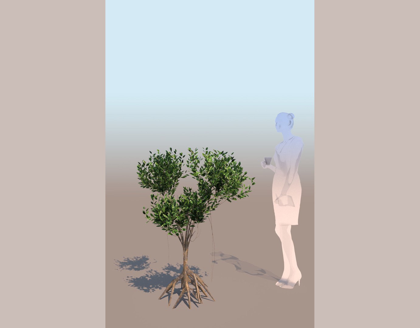 10 Mangrove Rhizophora Mangle Models 3D Model Collection 3D Model ...