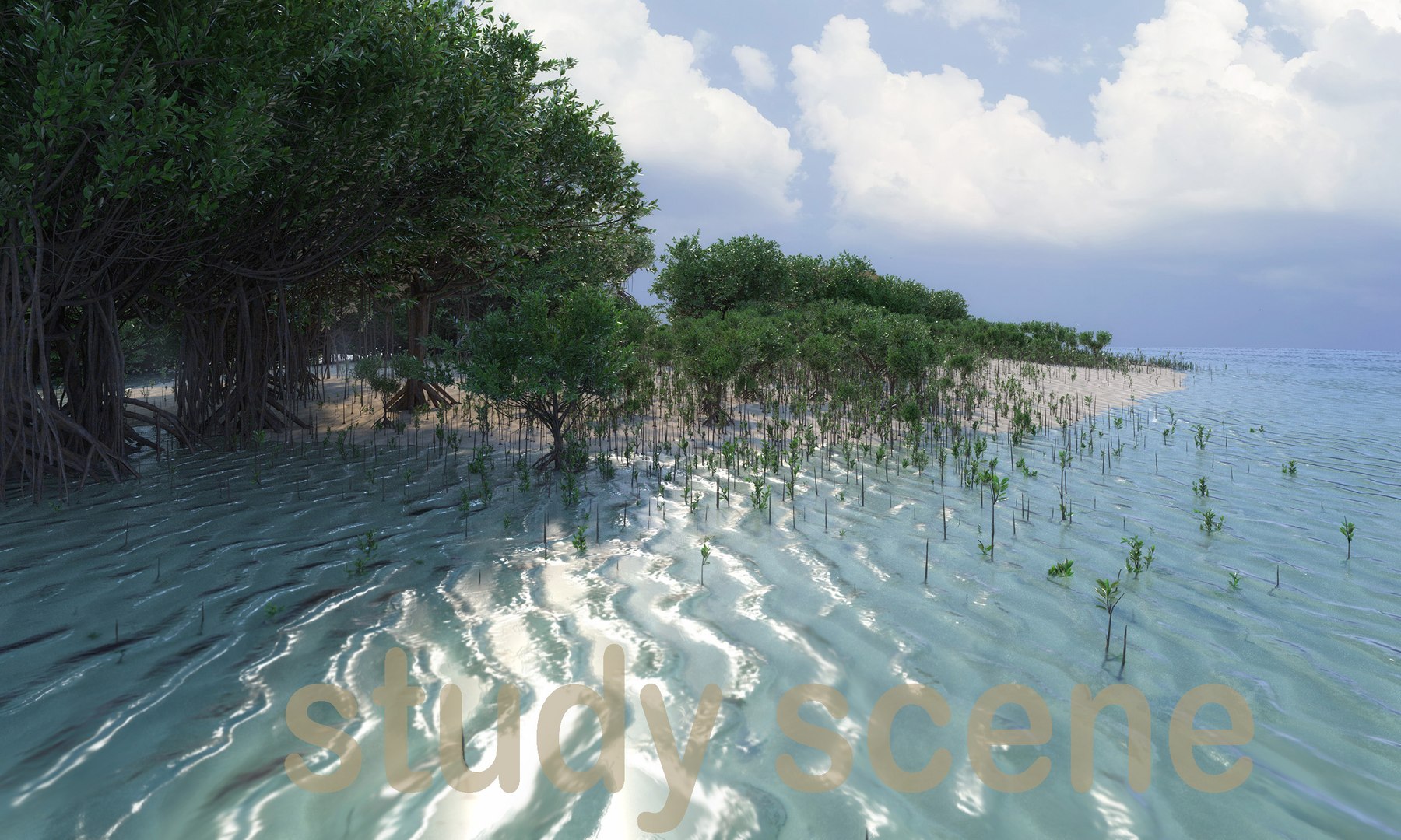 10 Mangrove Rhizophora Mangle Models 3D Model Collection 3D Model ...