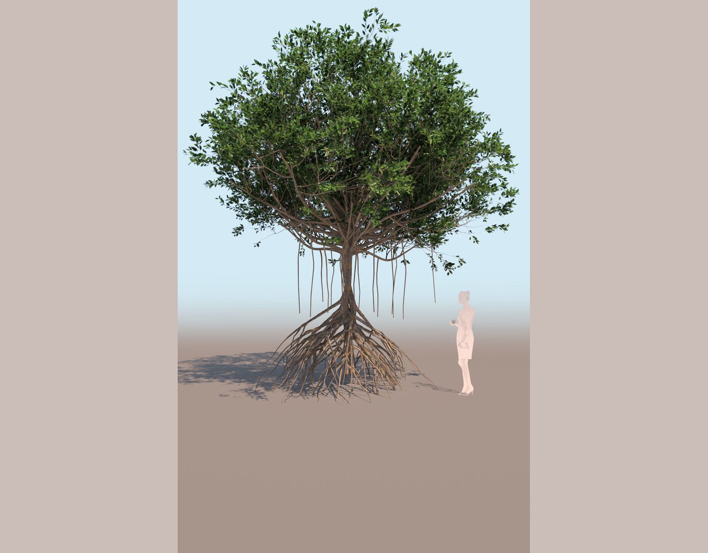 10 Mangrove Rhizophora Mangle Models 3D Model Collection 3D Model ...