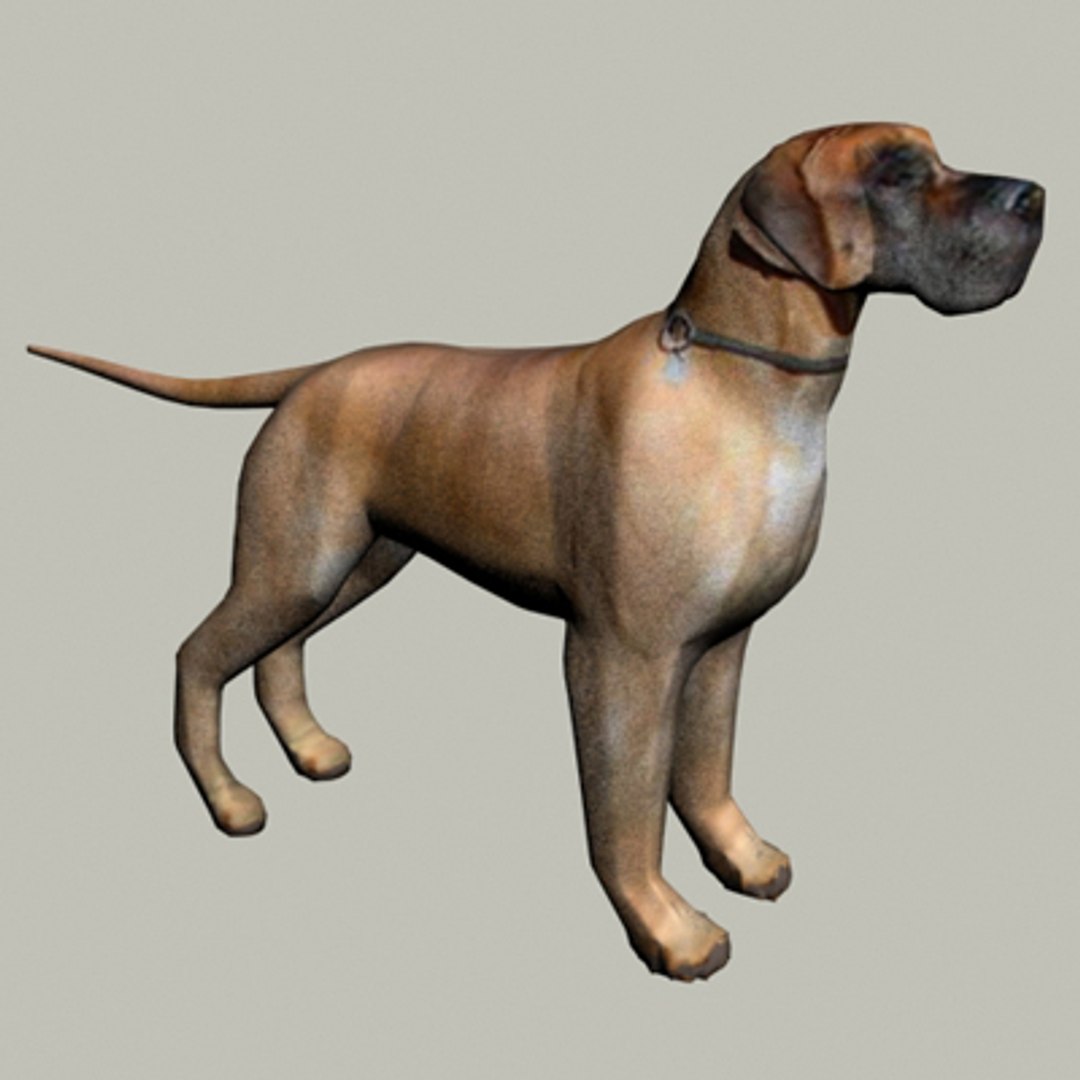 3d Model Dog
