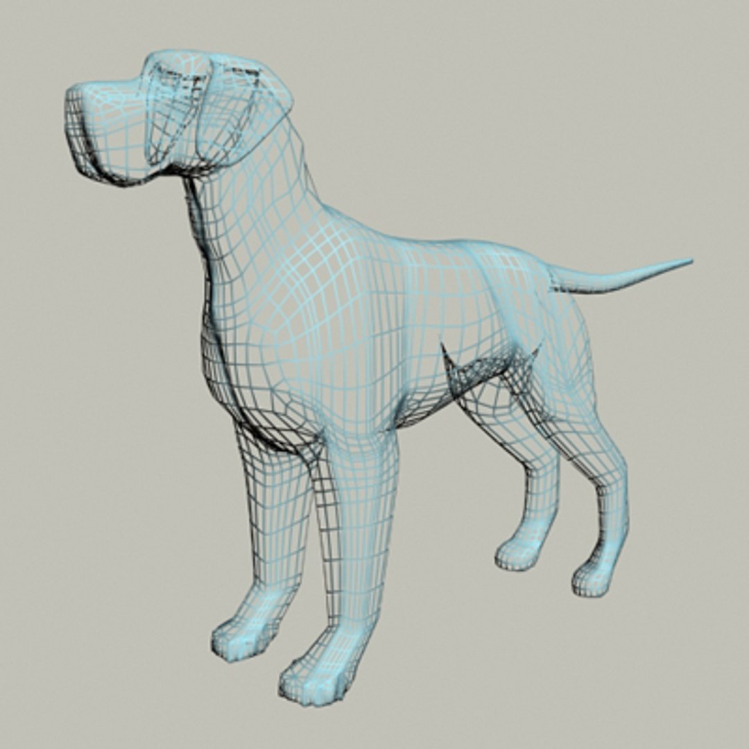 3d Model Dog