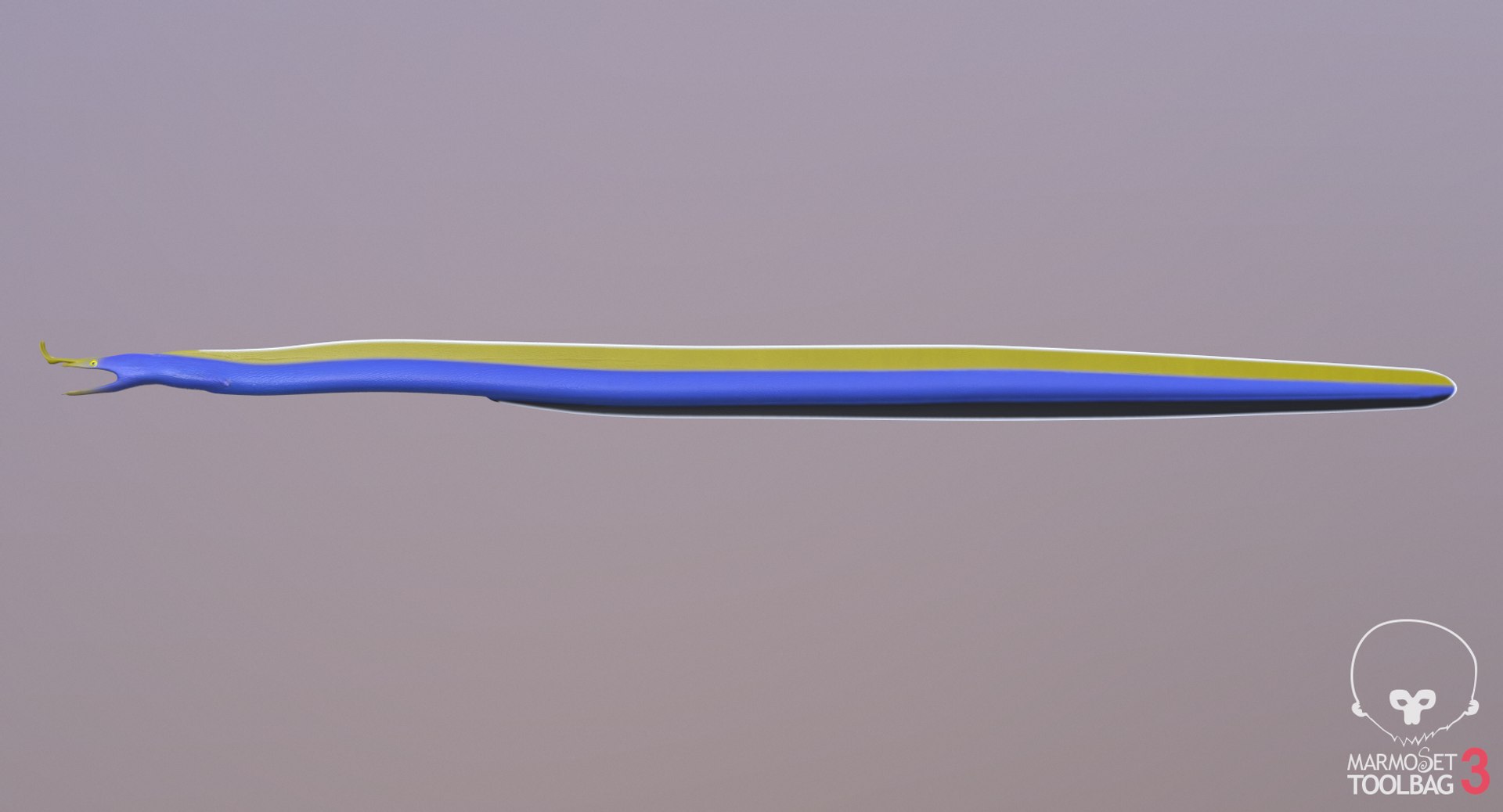 3D Ribbon Eel - TurboSquid 1330286