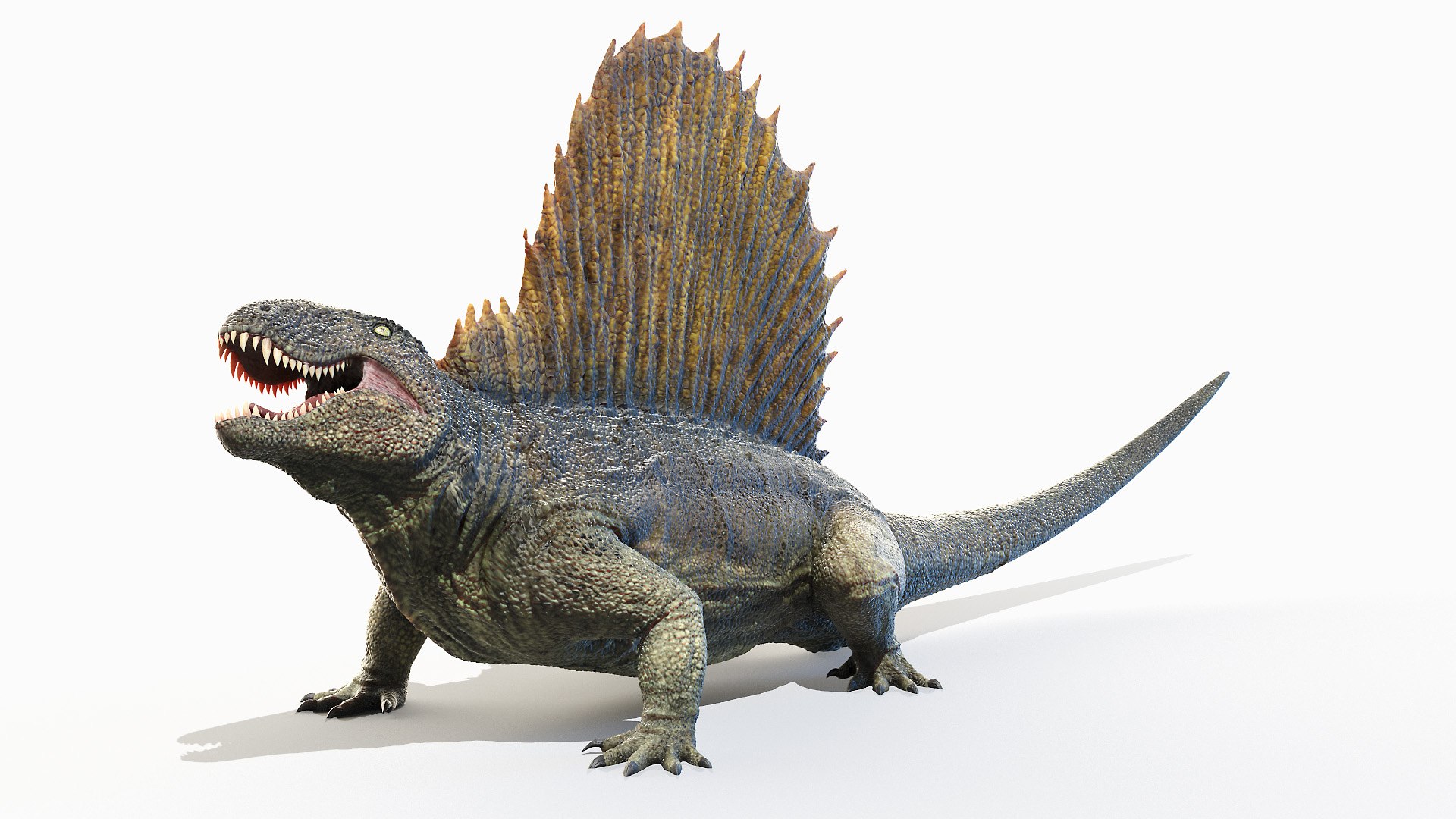 Dimetrodon 3D Model - TurboSquid 1647601