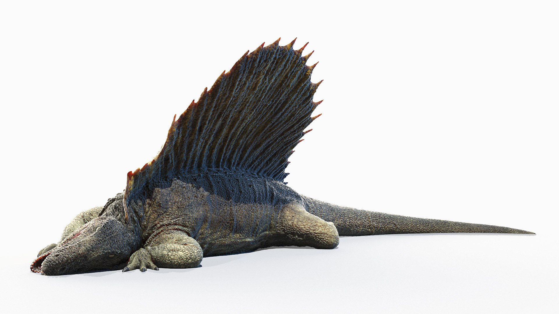 Dimetrodon 3D Model - TurboSquid 1647601